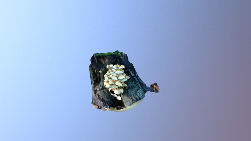 fungus09 - 3D model by evolutionize [ac7df10] - Sketchfab
