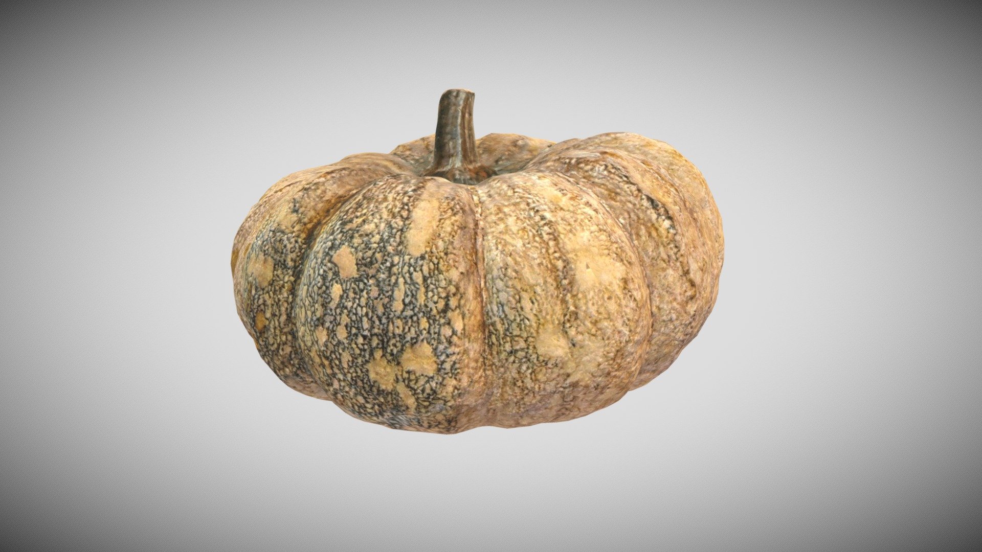 Pumpkin (2K texture) - Download Free 3D model by lannoo.niels [ac7ff5b ...