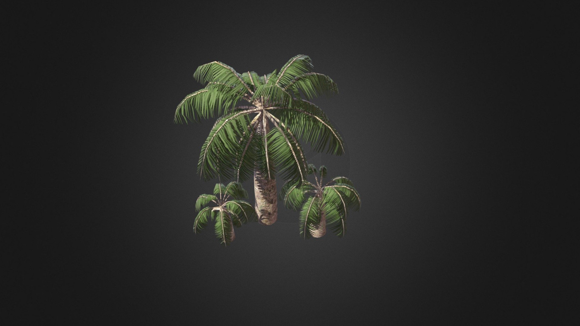 Palms - Download Free 3D model by BaptisteBerard [ac80ee7] - Sketchfab