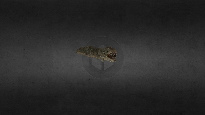 Riftworm 3D models - Sketchfab