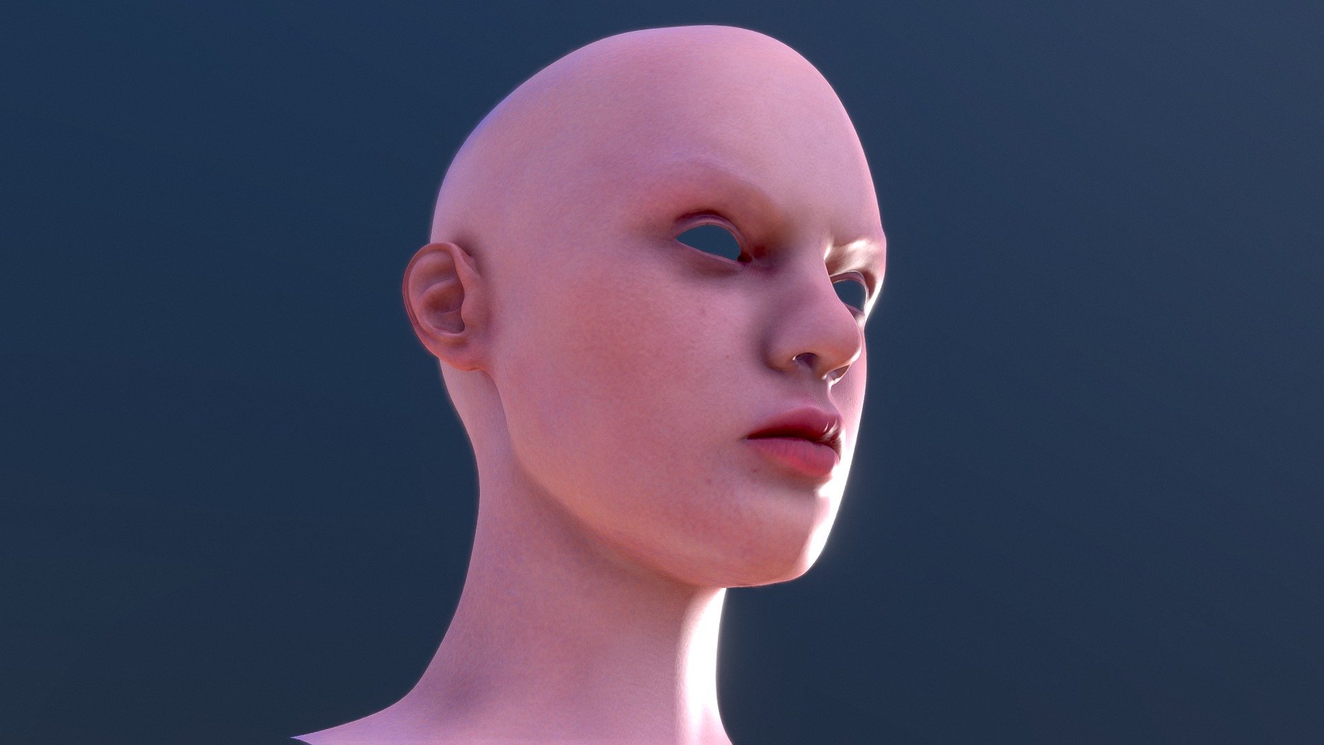Woman head 124k - 3D model by Snakes23 [ac82433] - Sketchfab