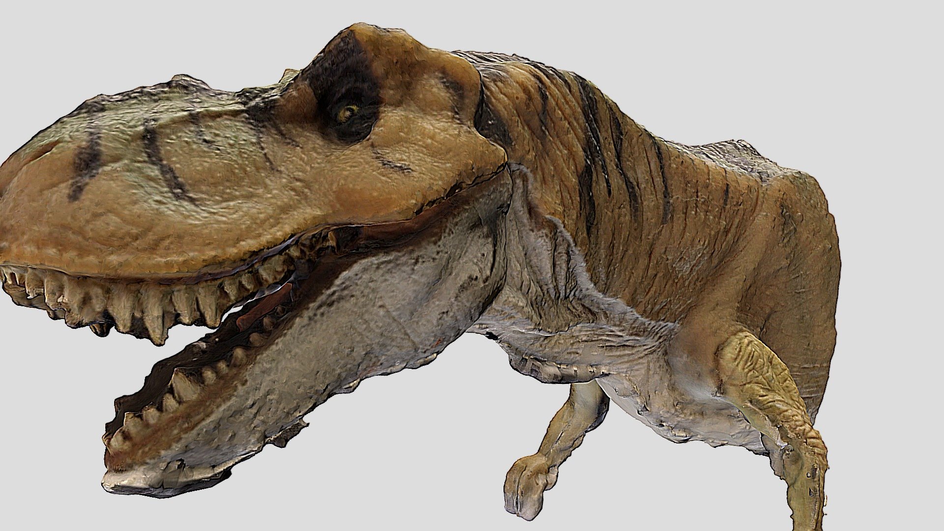 The Lost World Female T-Rex - Download Free 3D model by Djeekob ...