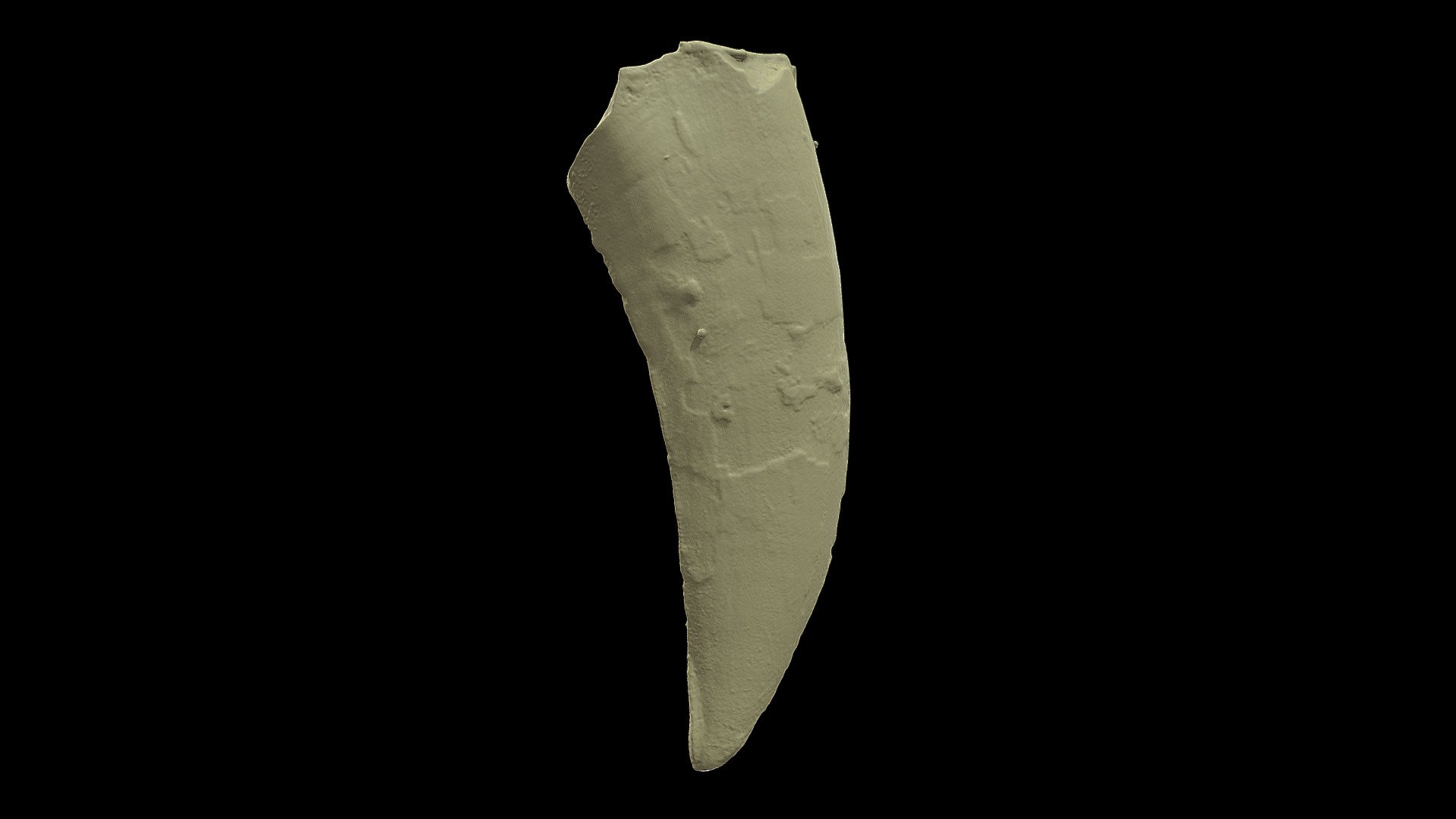 Large Fossilized Crocodile Tooth 3D Scan - 3D model by Laser Design ...