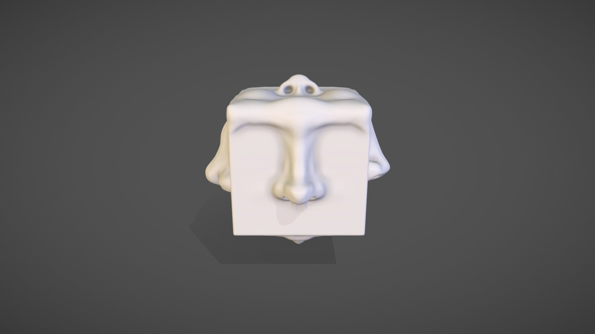 Nose Cube - 3D model by Sophie (@scoppock) [ac94f76] - Sketchfab
