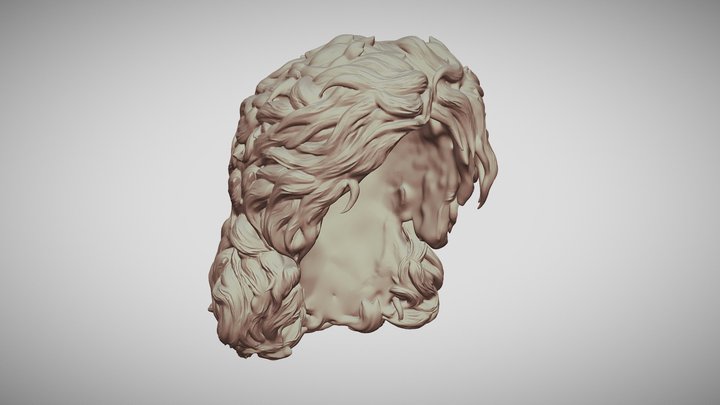Dreadlocks 3D models - Sketchfab