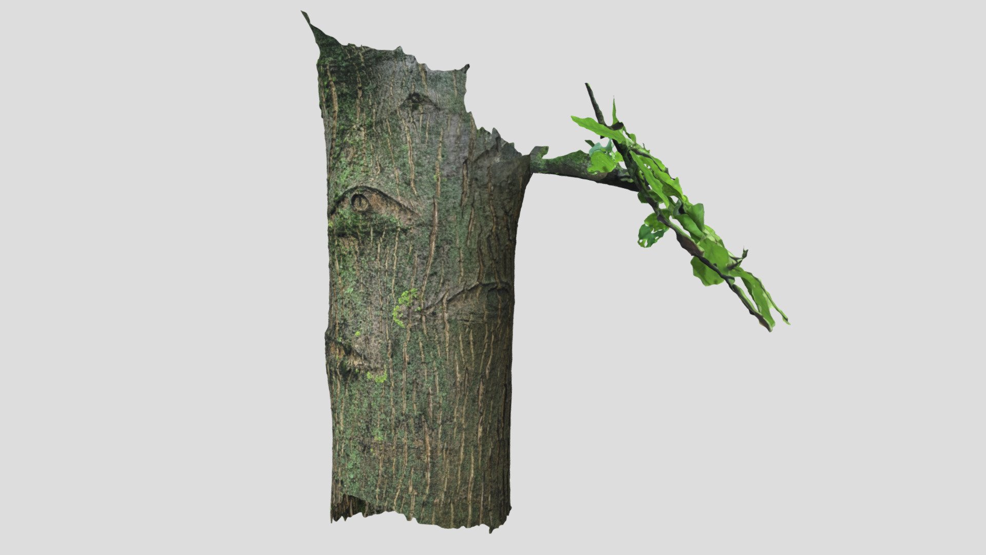 000_sje_00147_oko_oppo_foto_simplified_3d_mesh - 3D model by takac ...