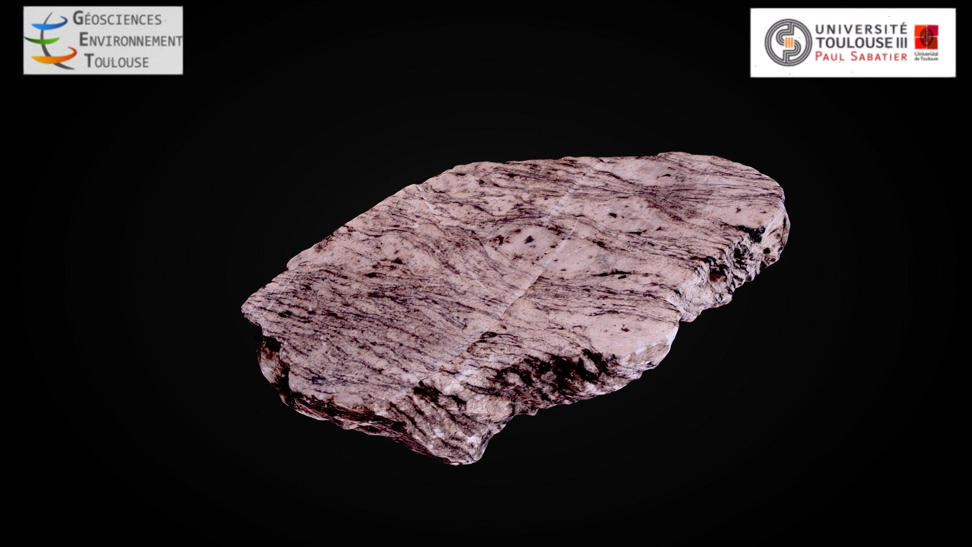 Gneiss - Download Free 3D model by Marc de RAFELIS (@derafelis ...