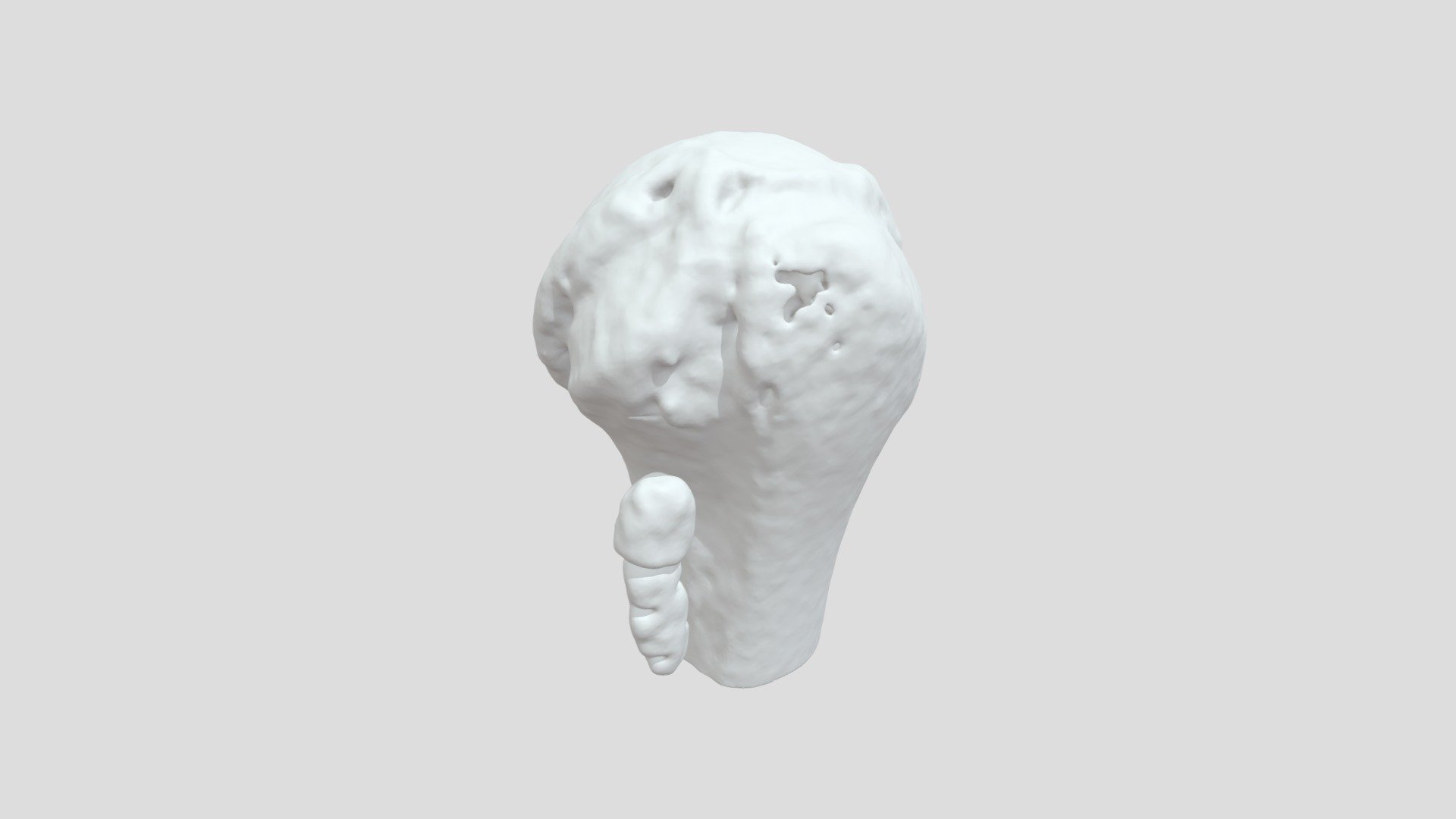 Humerus - 3D model by Rod Py (@rodrigopy) [aca75a5] - Sketchfab