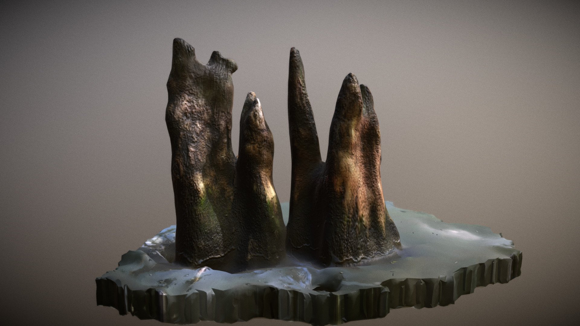 Cypress Knees, Lake Verret, Louisiana, USA - Download Free 3D model by ...