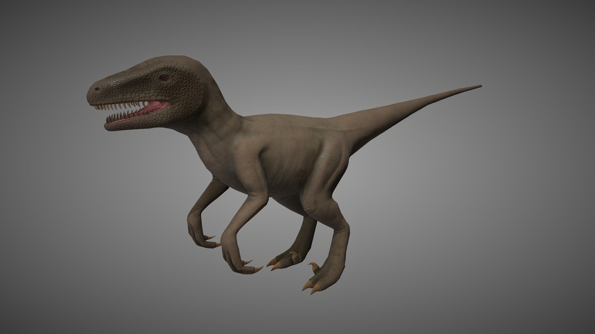 Raptor - Download Free 3D model by MatthewBlake (@14mblake) [acc50d1 ...