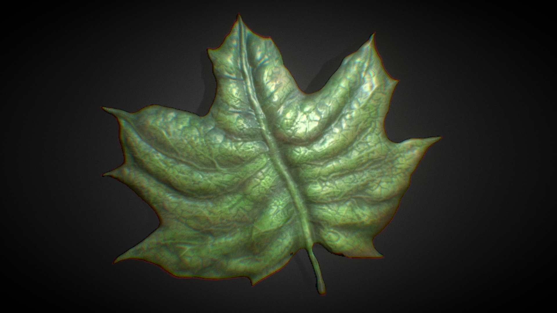 Leaf - 3D model by DigitalSte (@stecgartist) [accb88c] - Sketchfab