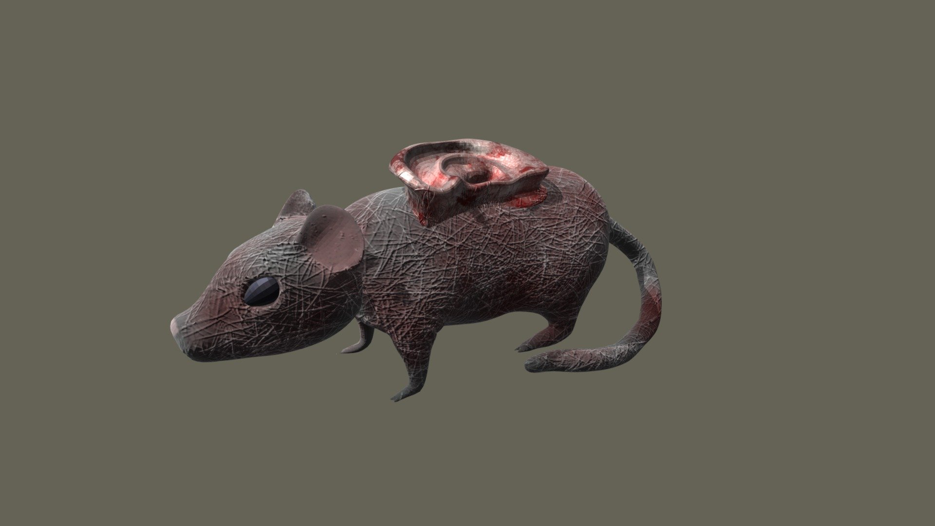 Rat - 3D model by ryzii [accc141] - Sketchfab