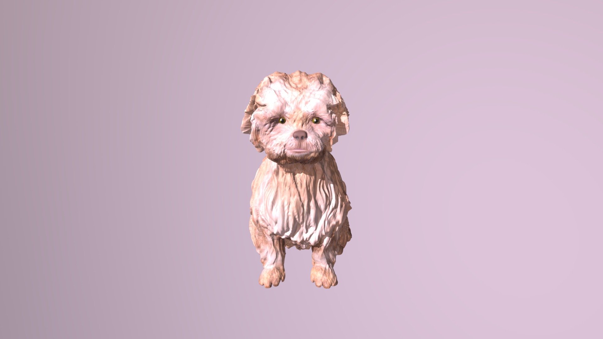 Luna Shitzu - 3D model by Arty Lobster - Pet Sculptures Made Simple ...