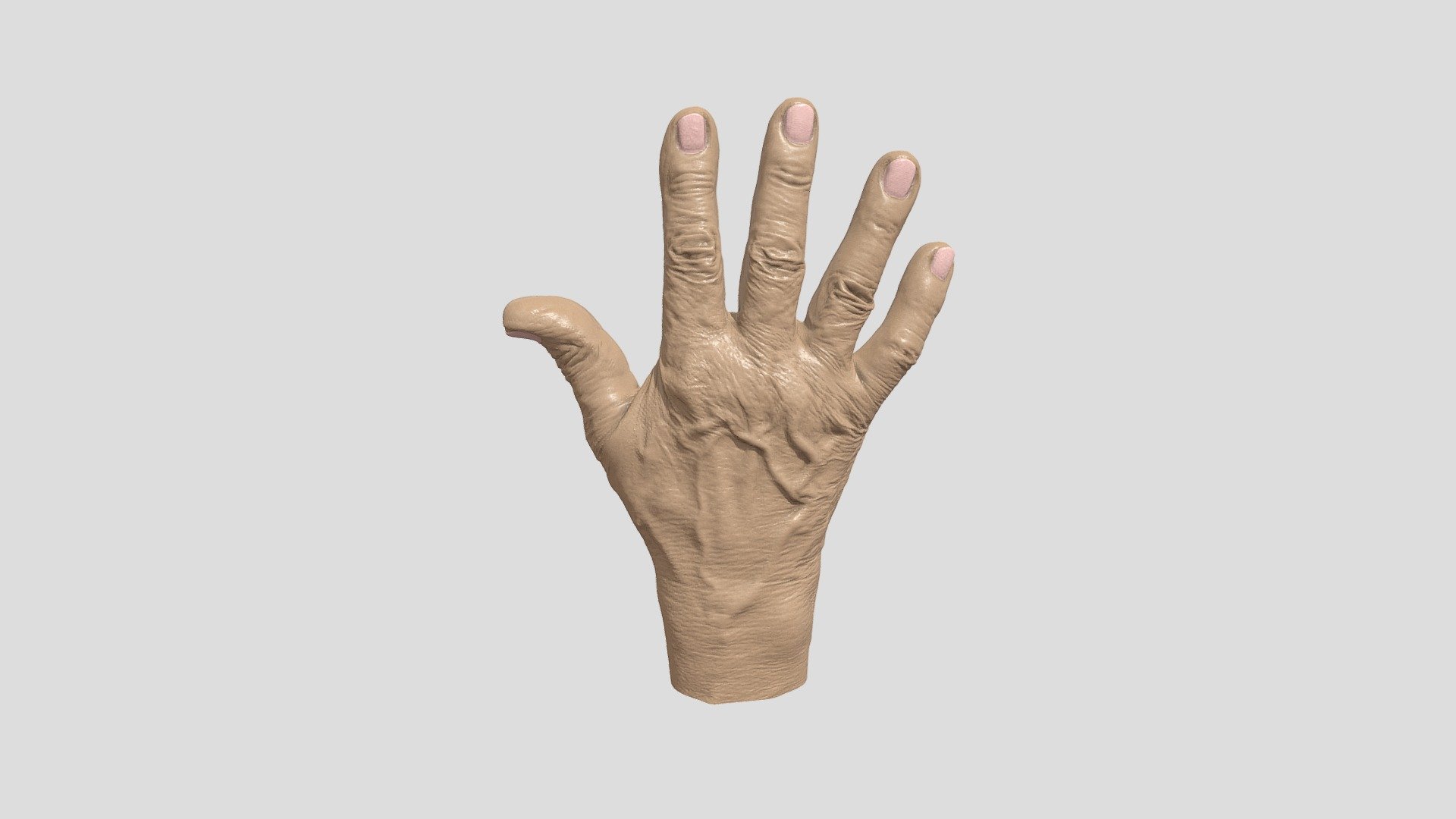 Old hand - Buy Royalty Free 3D model by fenrir (@fenrirgrey) [acd417f ...