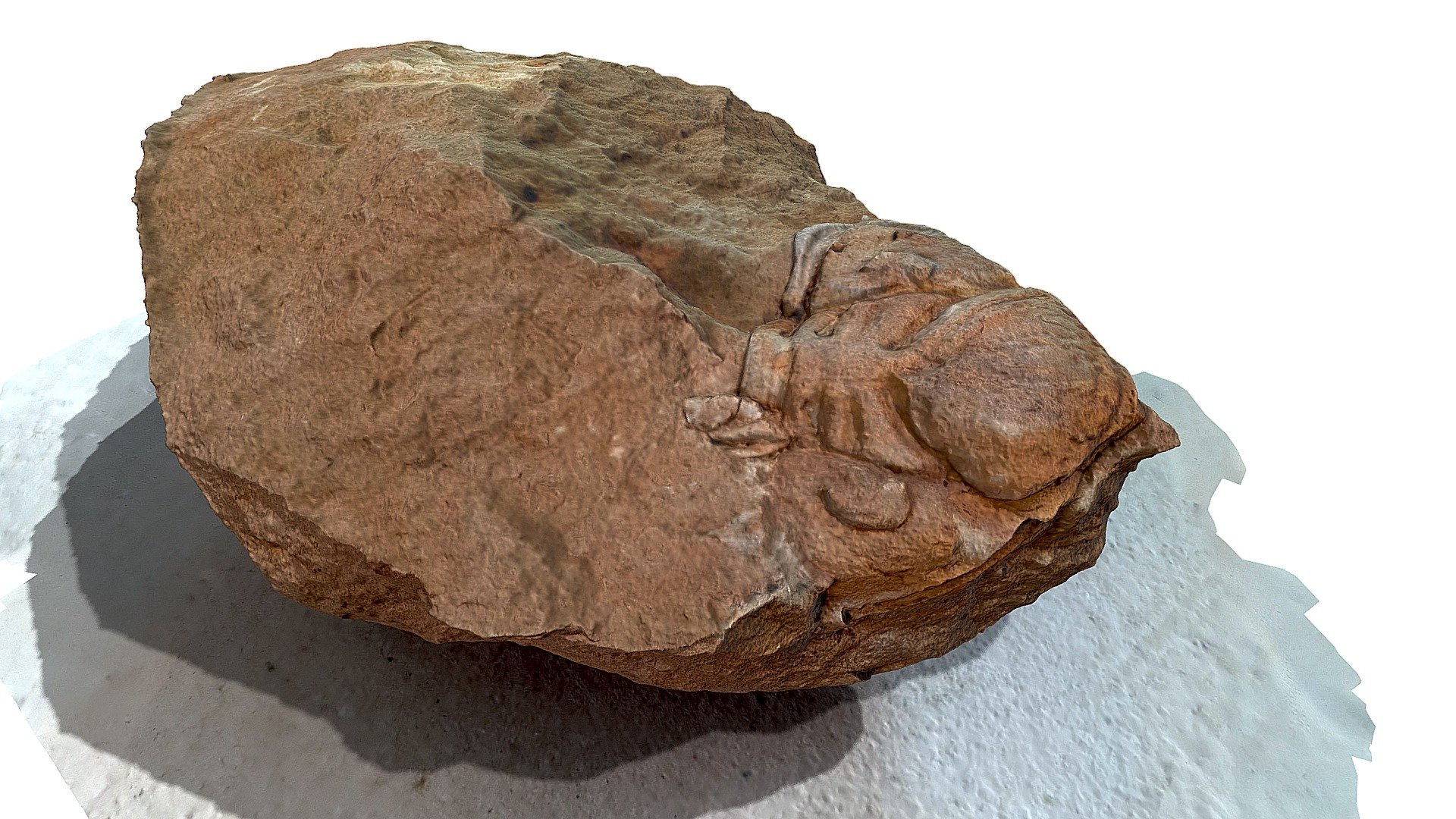 FOSIL DEL CEFALON DE UN TRILOBITE - Download Free 3D model by Eddy ...