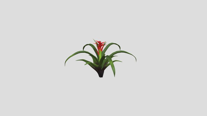 Botany 3D models - Sketchfab