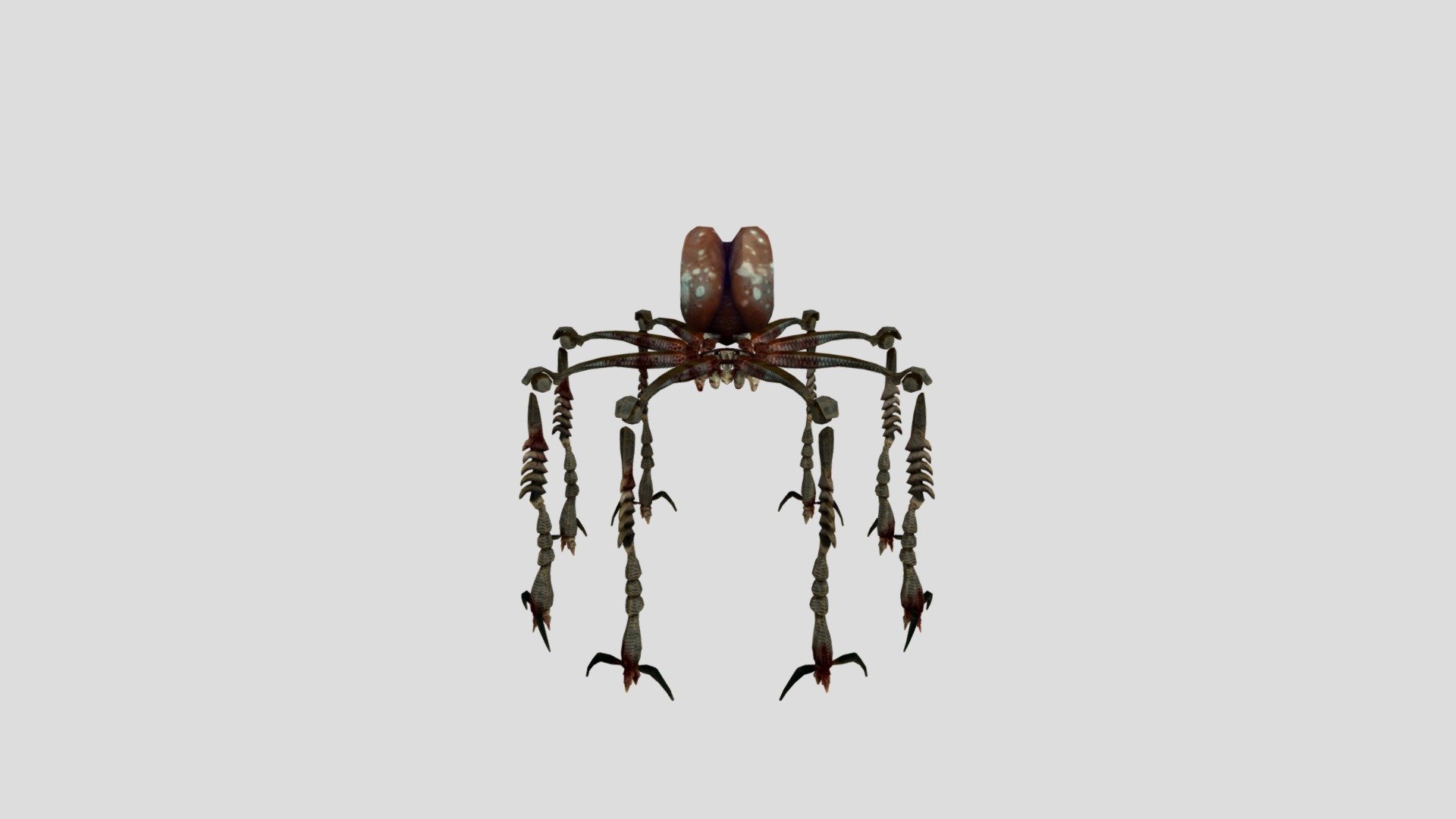 animal company - Spider - Download Free 3D model by Romeo rios vr ...