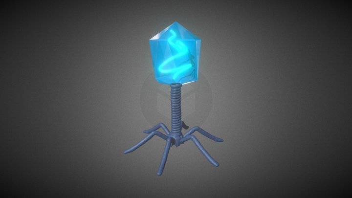Phage 3D models - Sketchfab