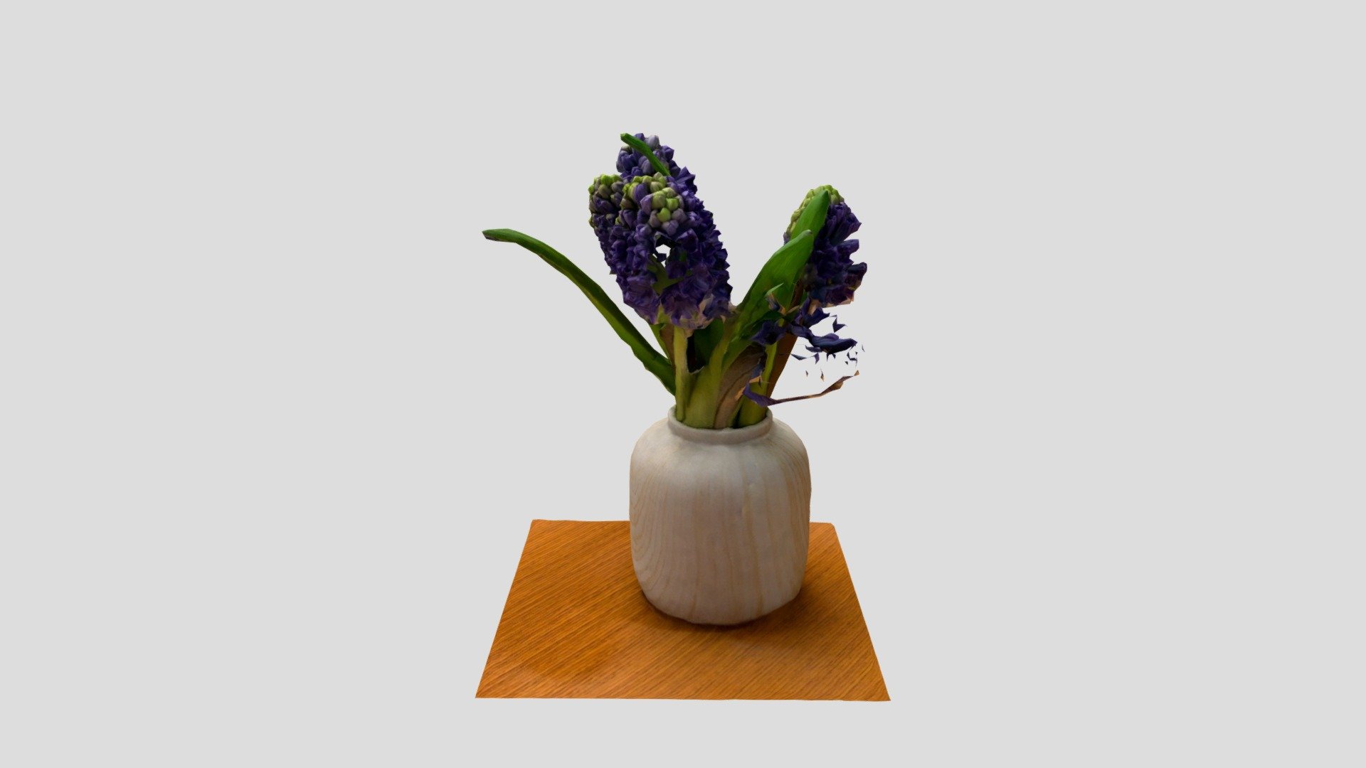 Hyacinth Model - Download Free 3D model by maddieba02 [aceba80] - Sketchfab