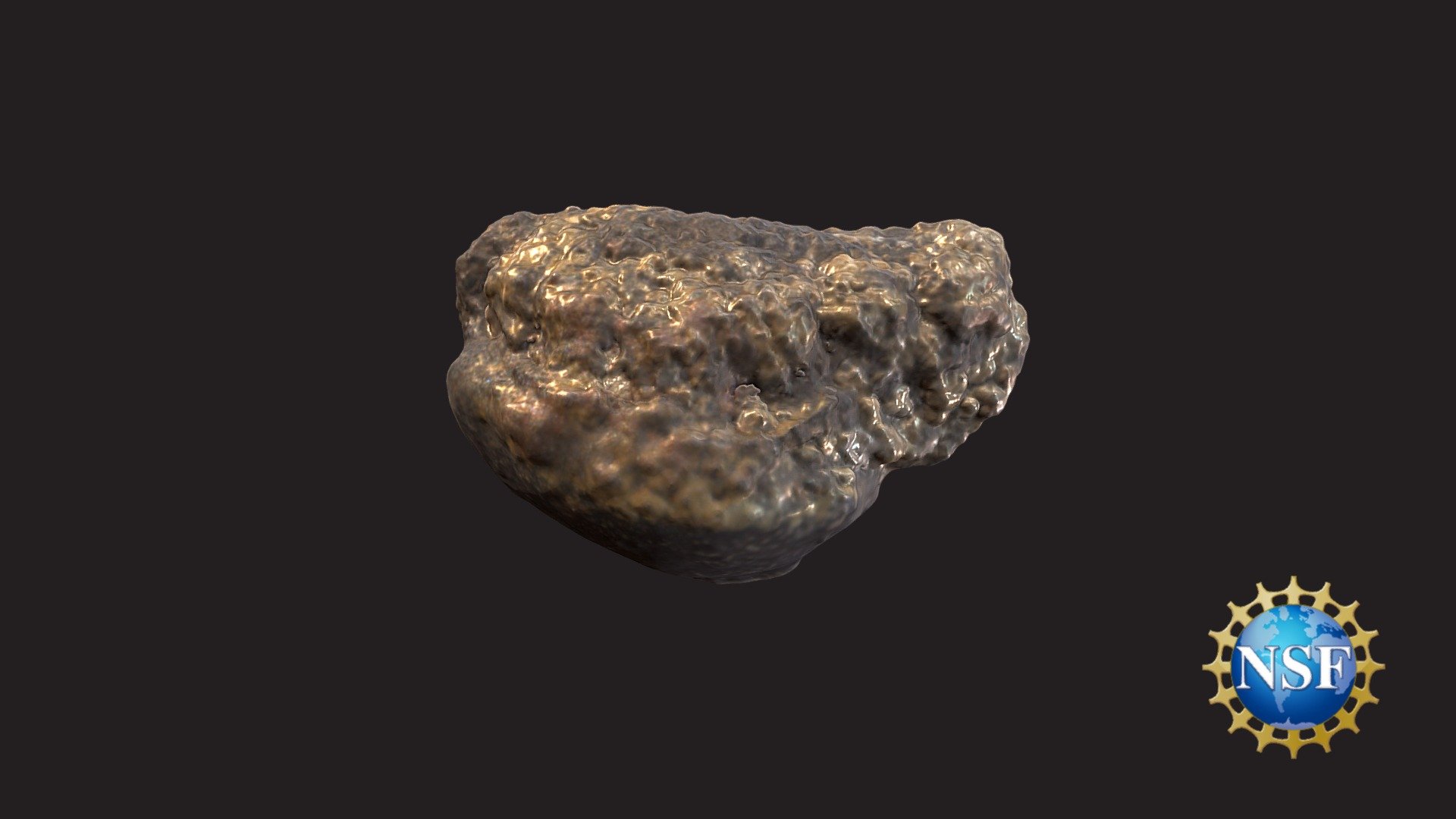 CMNH 7966, Orodus elegans tooth - 3D model by Cleveland Museum of ...