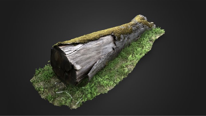 Ecosystem 3D models - Sketchfab