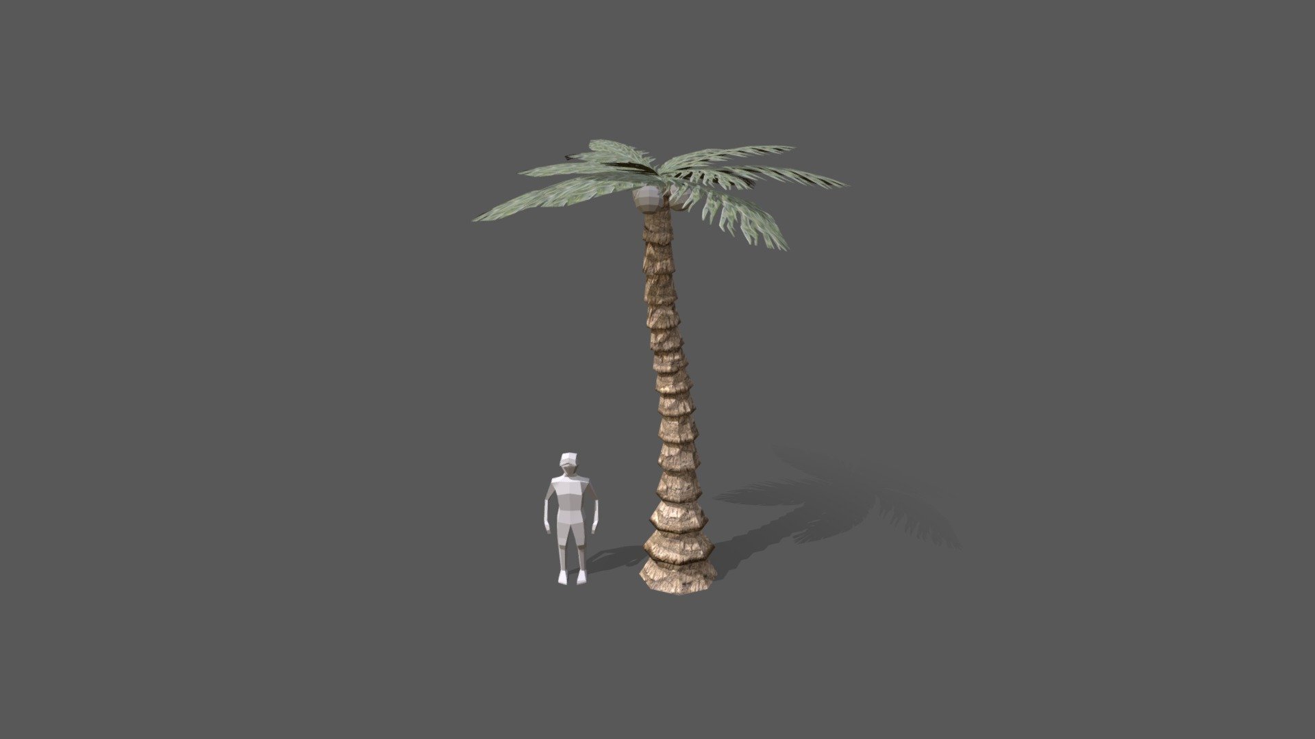 Palm_test - Download Free 3D model by Pawel Zlotkowski (@Pawel ...