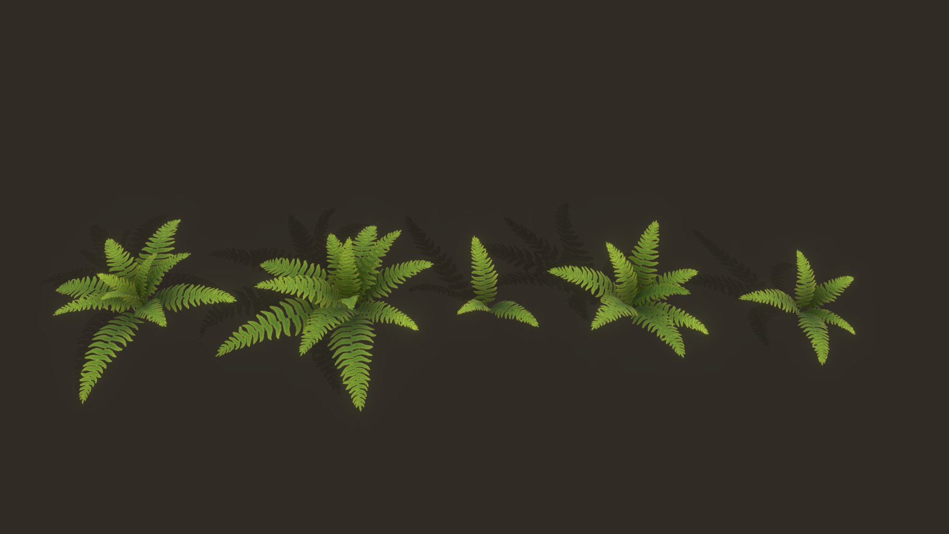 Stylized ferns - 3D model by JW3D (@jw_3d) [ad048eb] - Sketchfab