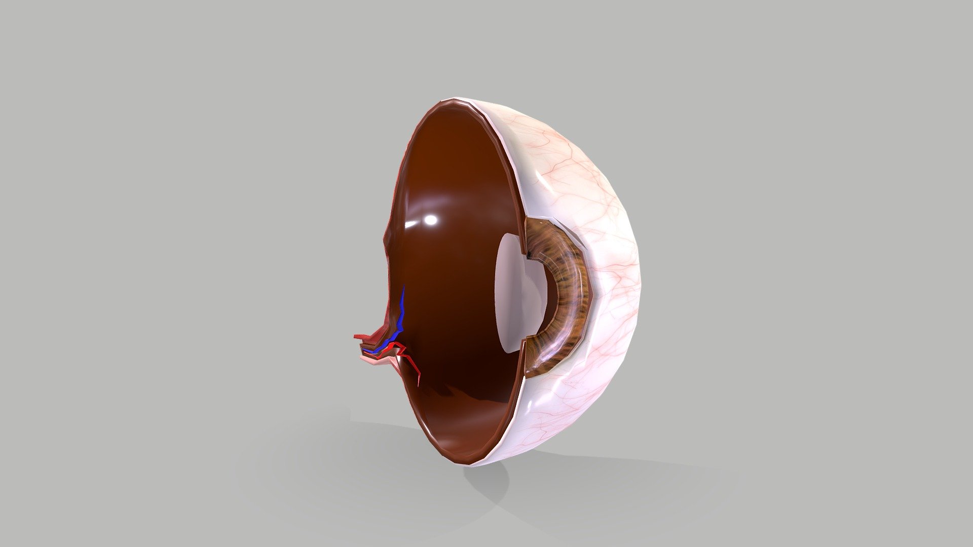 Eye Diagram - Download Free 3D model by d4vidpayn3 [ad0788c] - Sketchfab