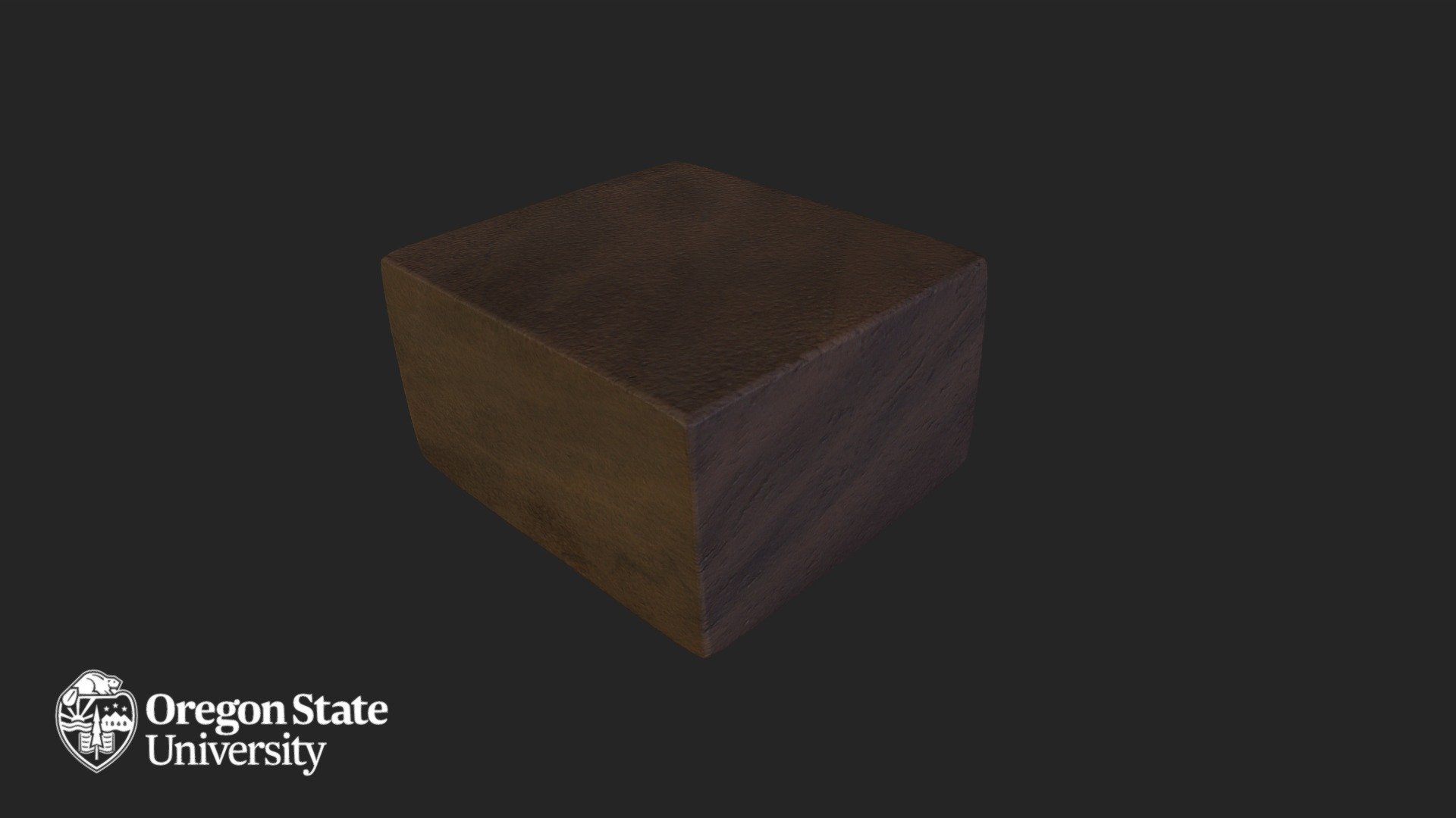Walnut - Download Free 3D model by Oregon State University | Ecampus ...