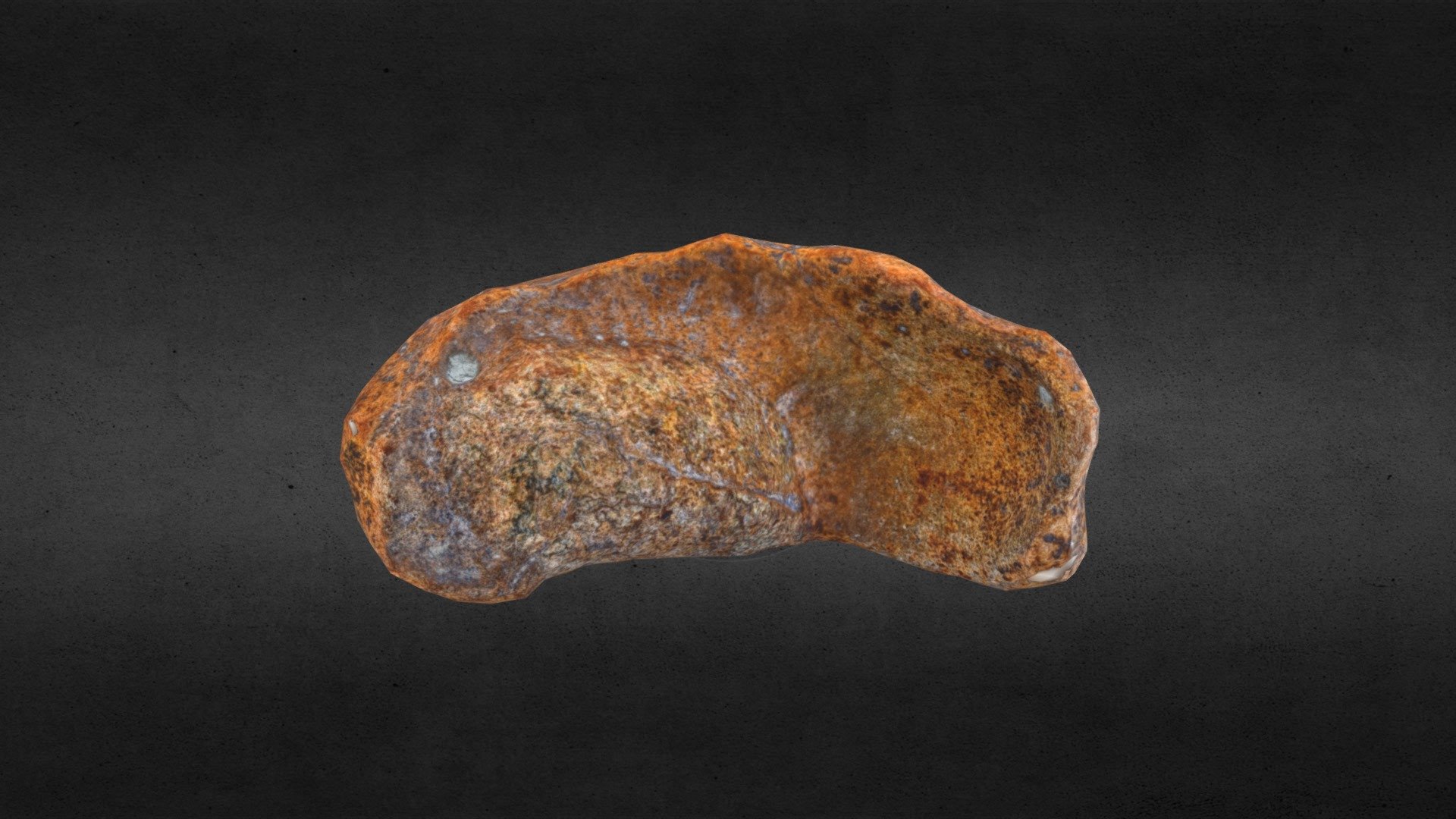Fossil Ear Bone - 3D model by Michael Walsh (@puppetanimation) [ad13efe ...