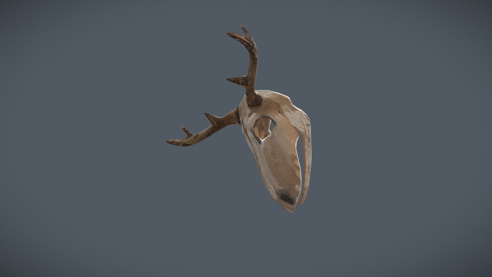 Deer skull - Download Free 3D model by Joni Suojanen (@J.Shelter ...
