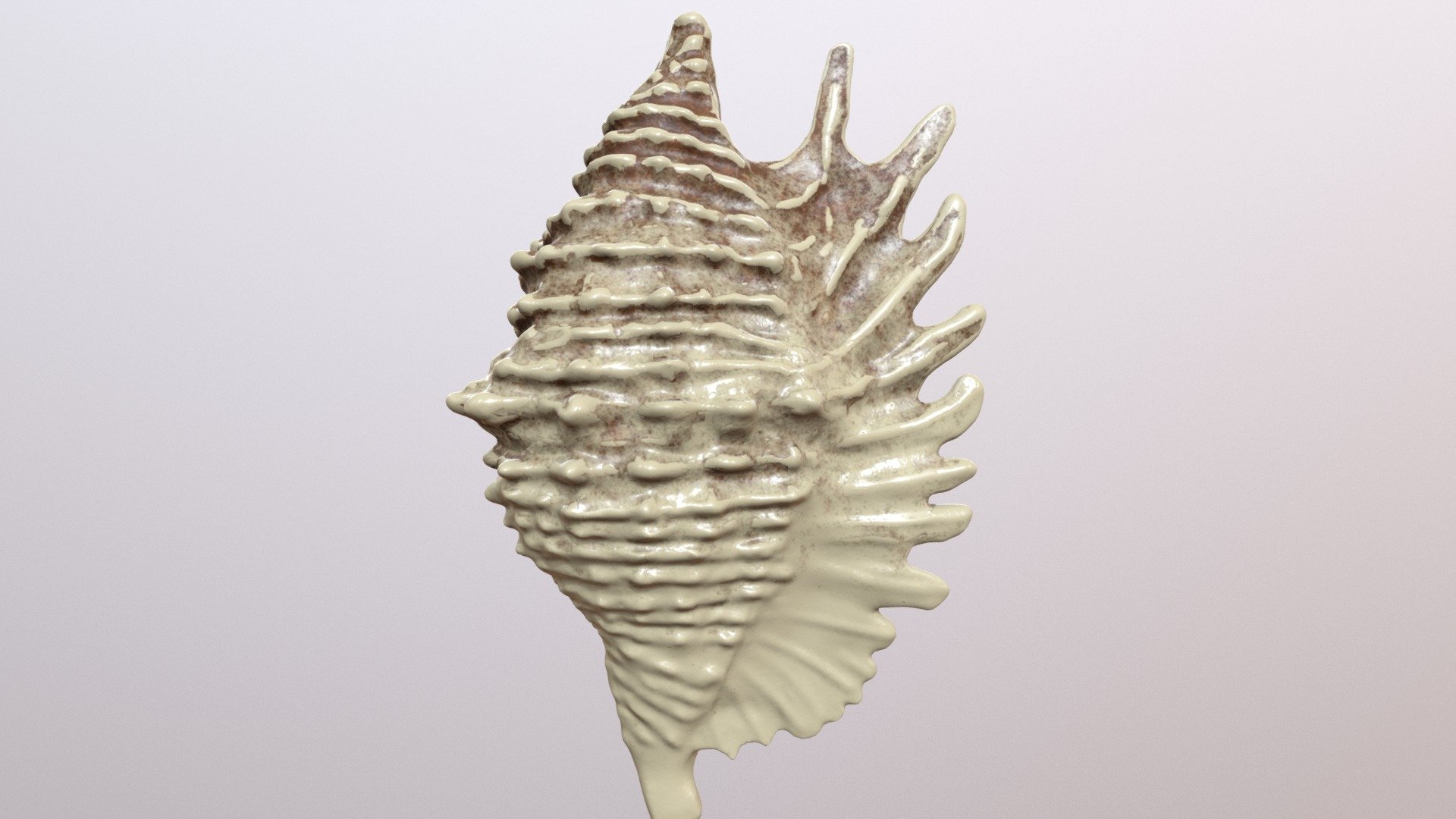 Shell #SculptJanury18 - 3D model by Mikey G (@mags) [ad1cab2] - Sketchfab