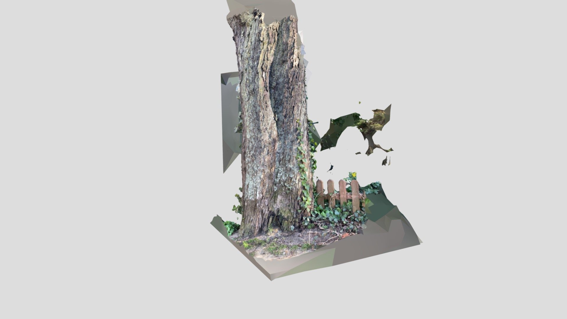 Scan 2022-04-21T15:08:25.152Z - 3D model by rotajdar [ad3282b] - Sketchfab