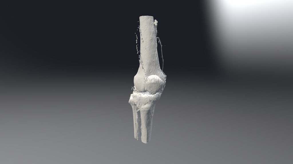 knee 100 - 3D model by easima (@exovite) [ad32863] - Sketchfab
