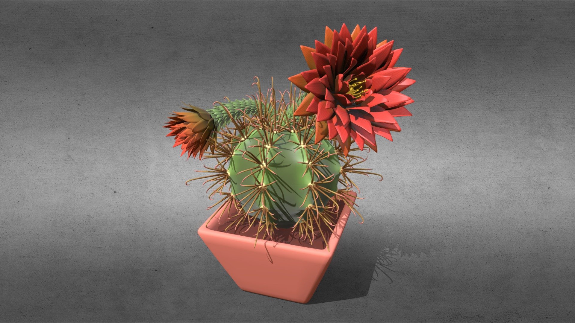 cactus - Download Free 3D model by chelenguu (@wuheppost) [ad35efa ...