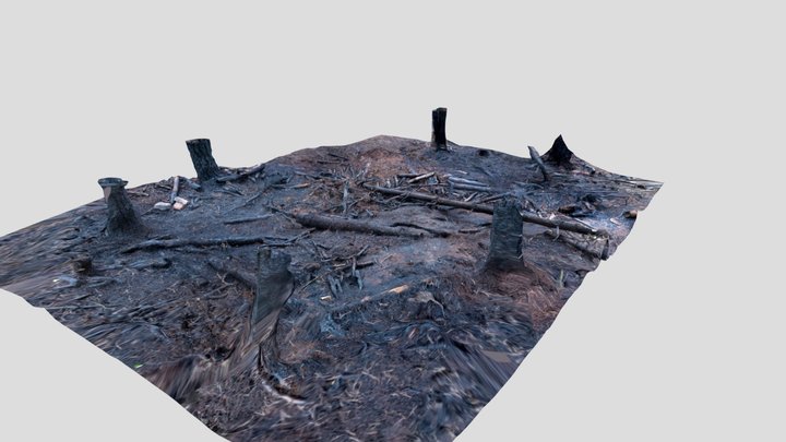 Aftermath 3D models - Sketchfab