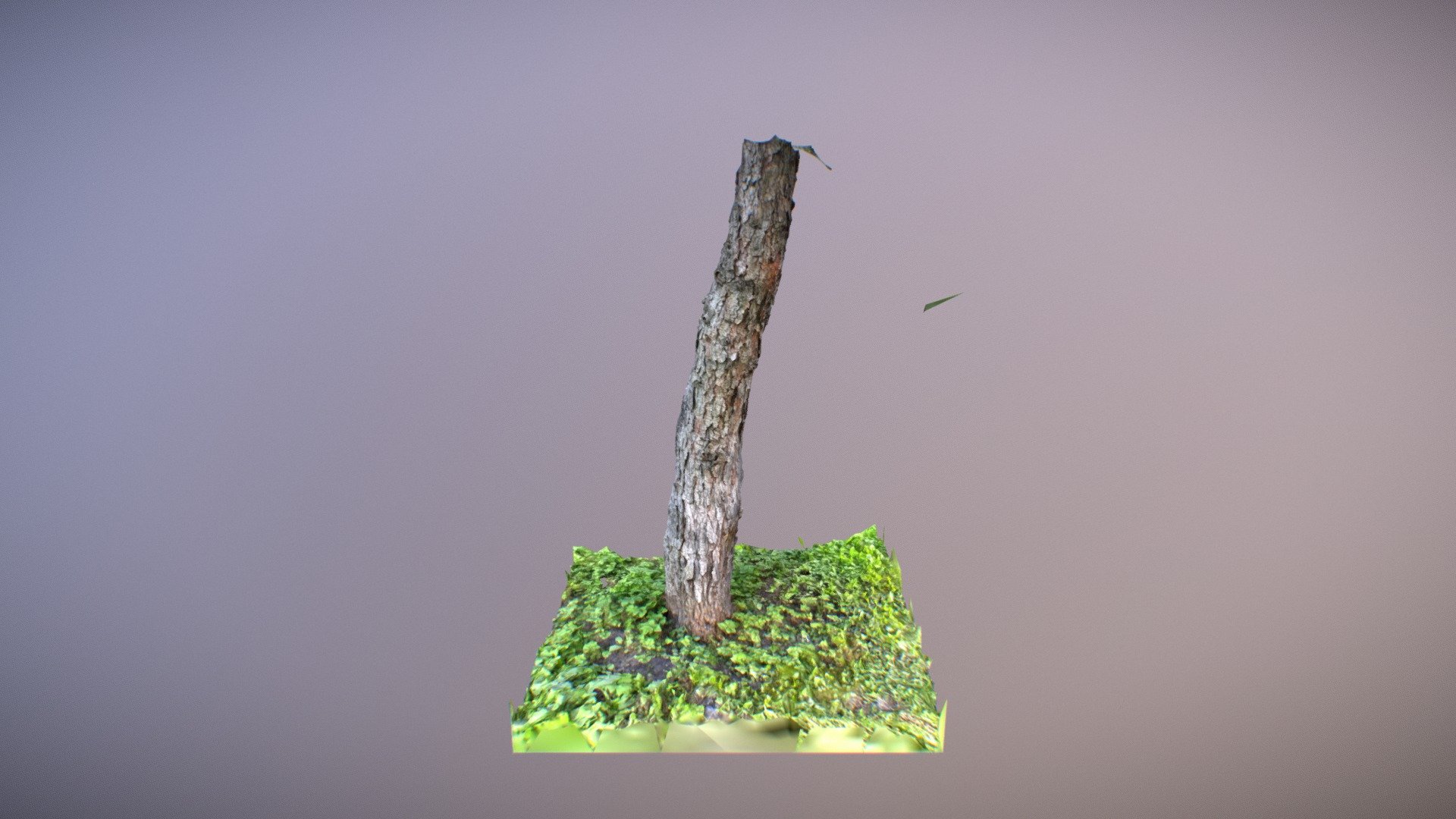 Tree scan test - Download Free 3D model by viktorcor [ad3bd6a] - Sketchfab