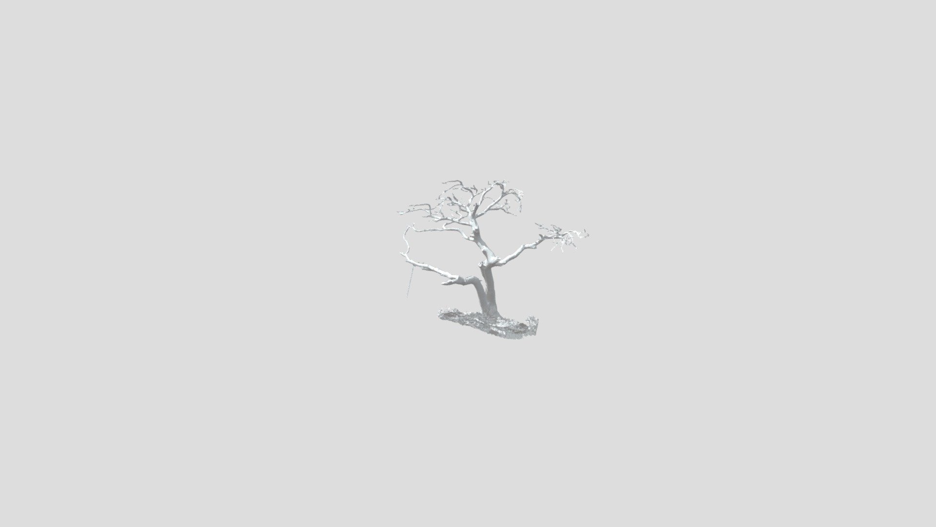 Burmis Tree - Crowsnest Pass - Alberta - 3D model by Tronnes Geomatics ...