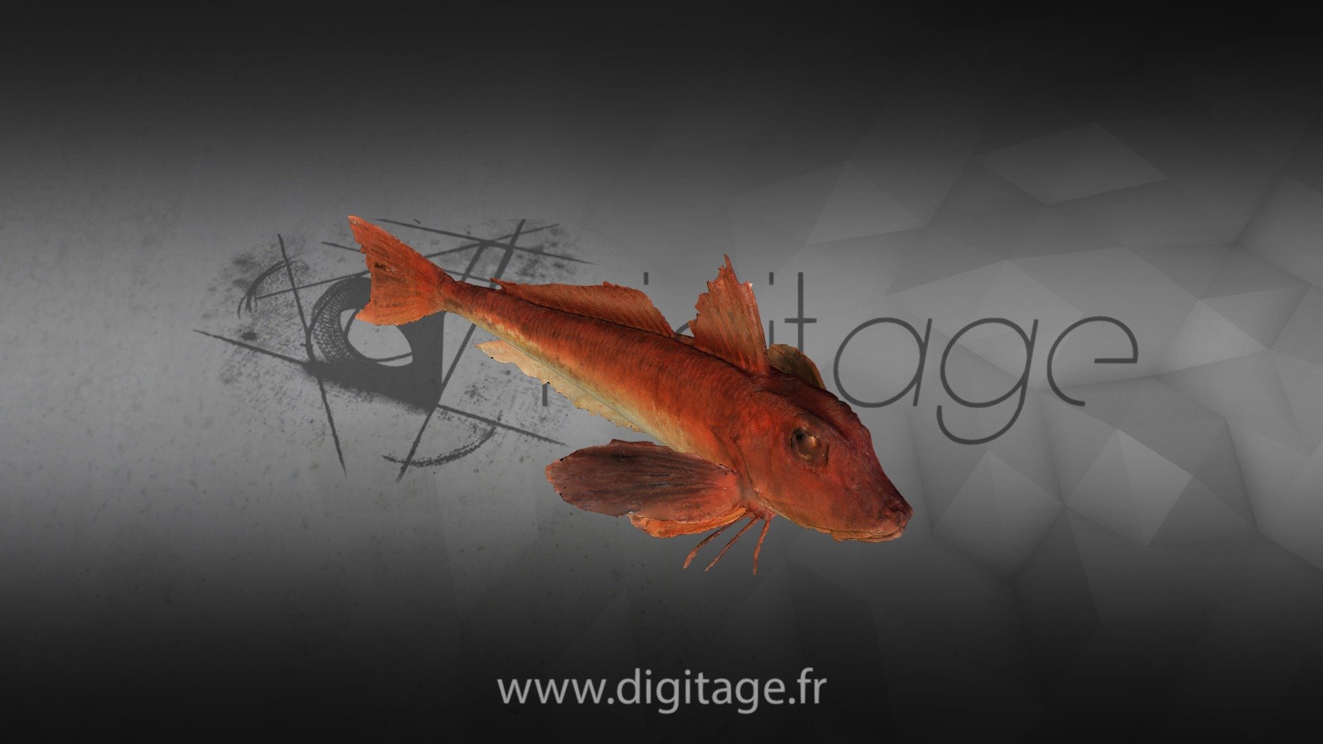 #3DST9 Grondin - 3D model by Digitage [ad43e6e] - Sketchfab