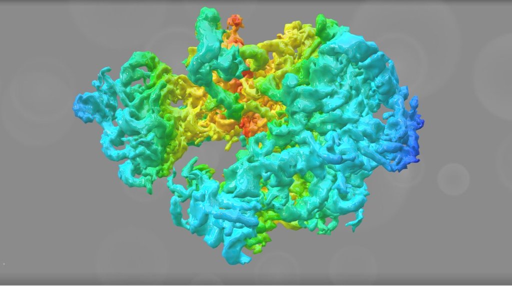 Structure of BipA in GTP form - PNAS (2015) - 3D model by Interactive ...