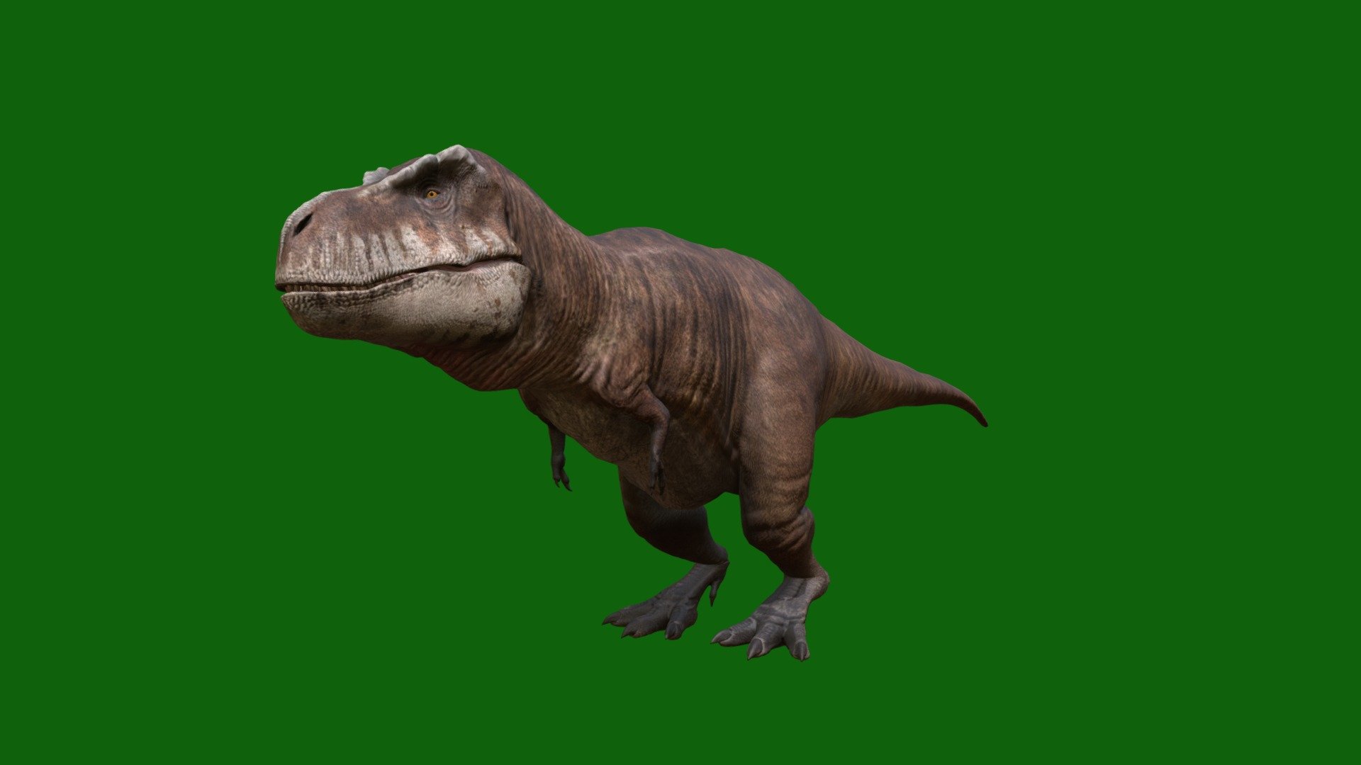 Trex2022 - Download Free 3D model by kenchoo [ad57bbb] - Sketchfab