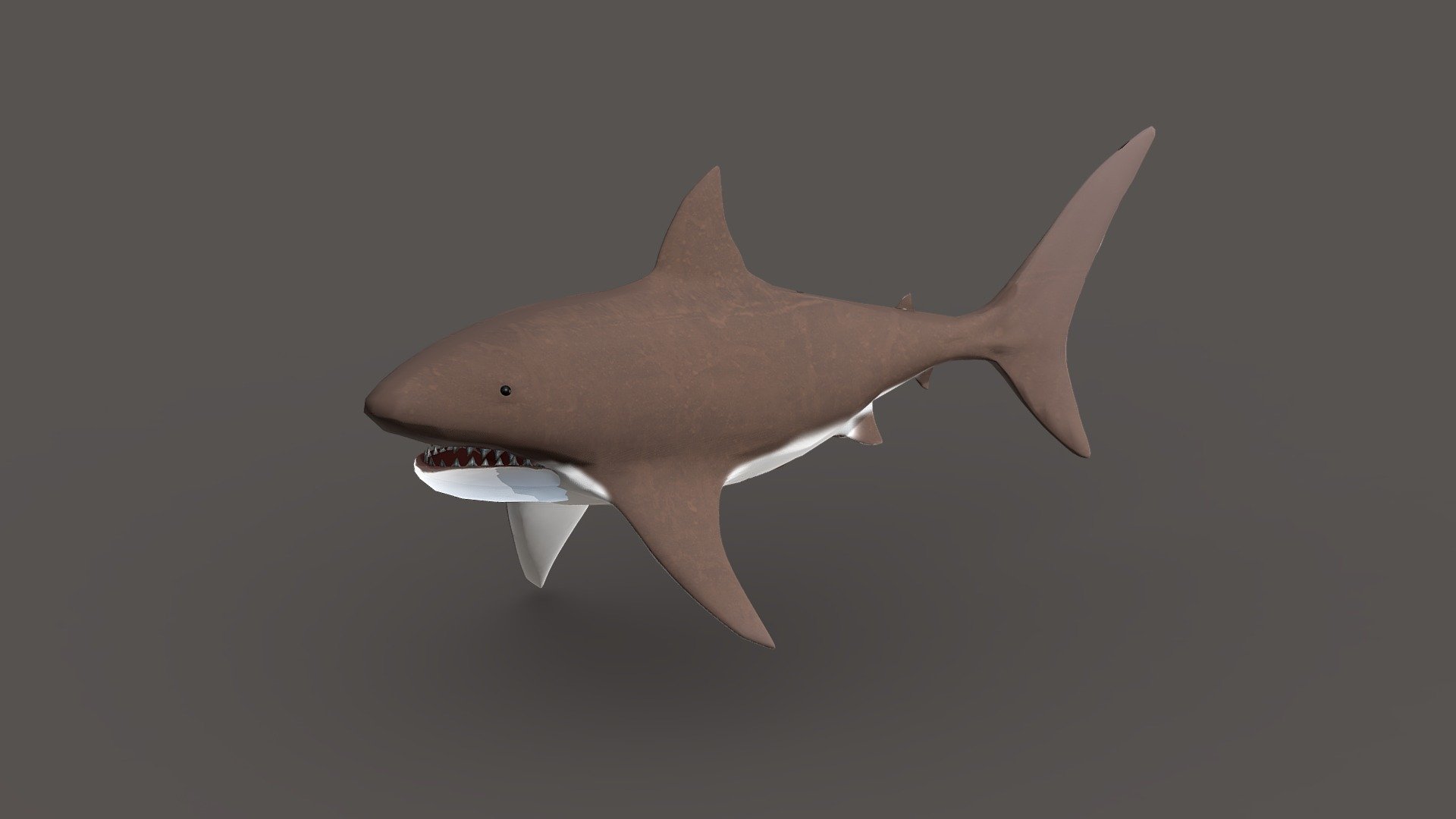 megalodon - Download Free 3D model by BumBácBonifác (@ondraman43 ...