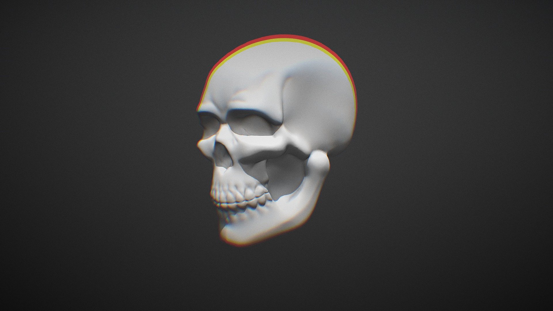 Skull - 3D model by Parzival_art [ad5edbf] - Sketchfab
