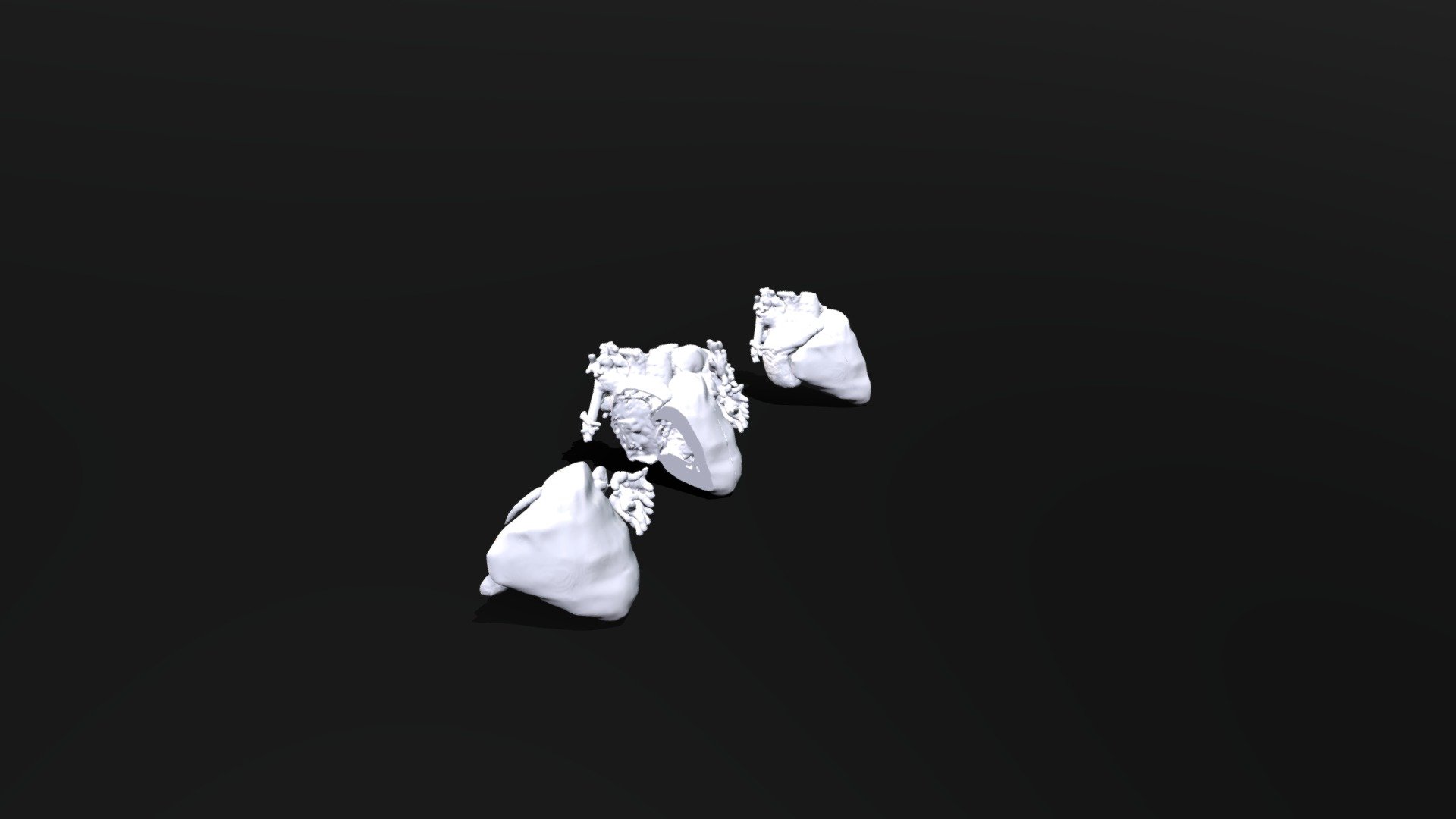 RAG_Sketch - 3D model by lucaborro [ad6098f] - Sketchfab