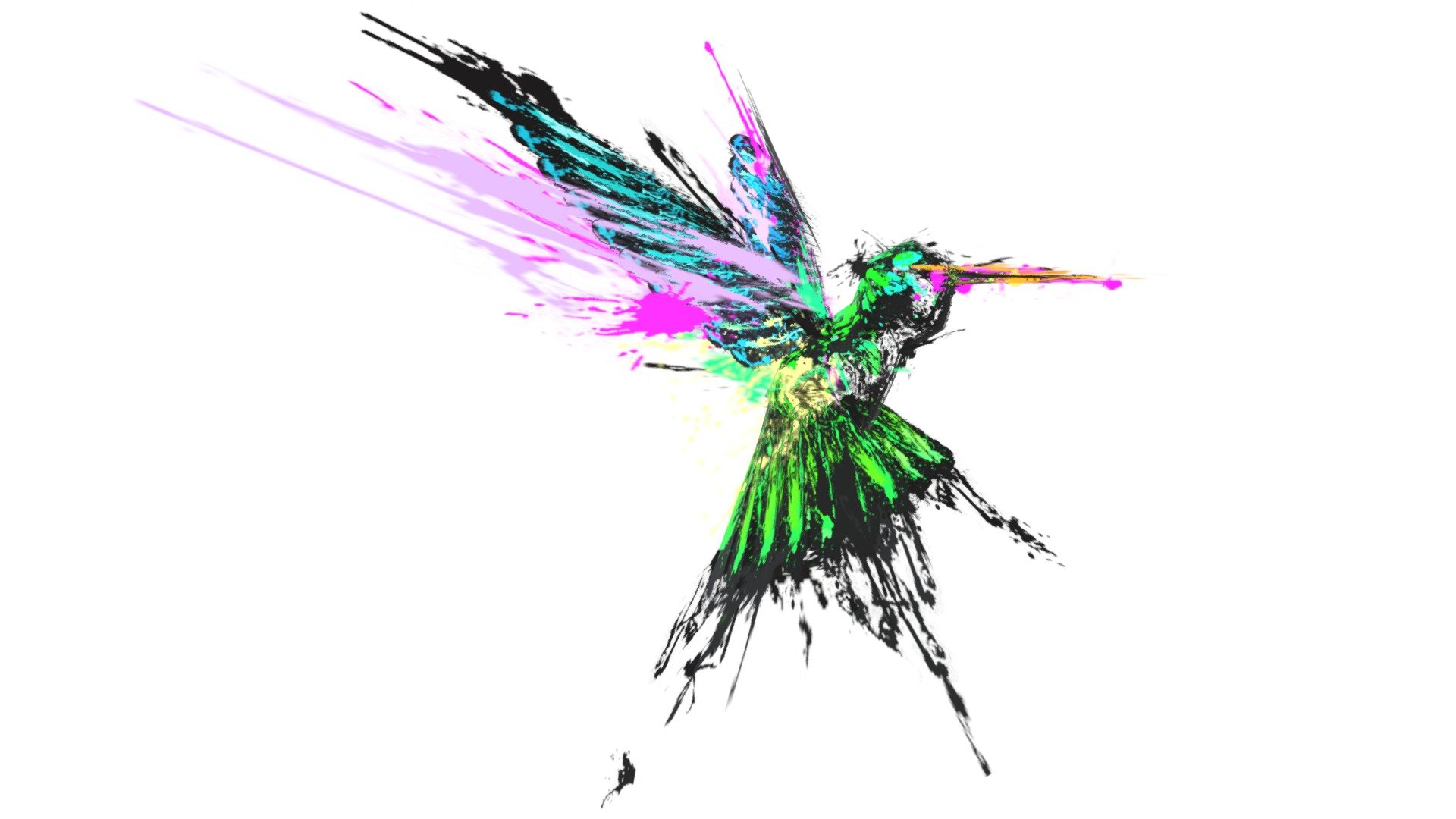 Hummingbird - 3D model by shanedoesgames [ad61b8e] - Sketchfab