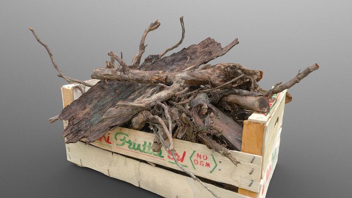 Kindling 3D models - Sketchfab