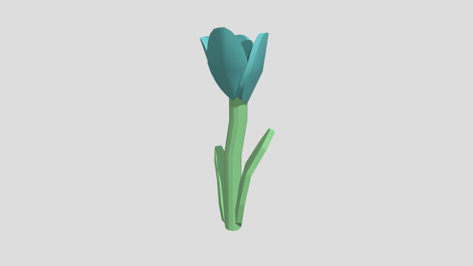 tulip - Download Free 3D model by armtoucher [ad65765] - Sketchfab