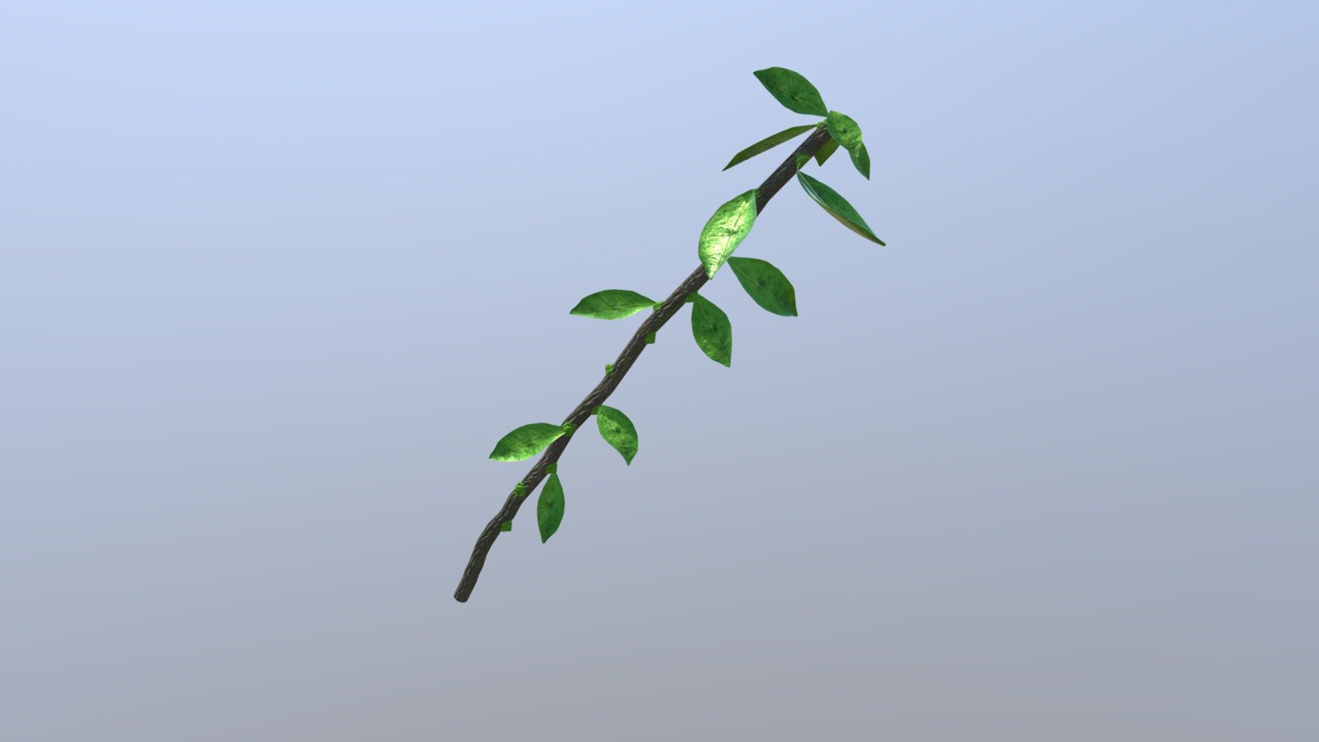 Feuille Anim - 3D model by Jade Dalloul (@jade2293) [ad69caa] - Sketchfab