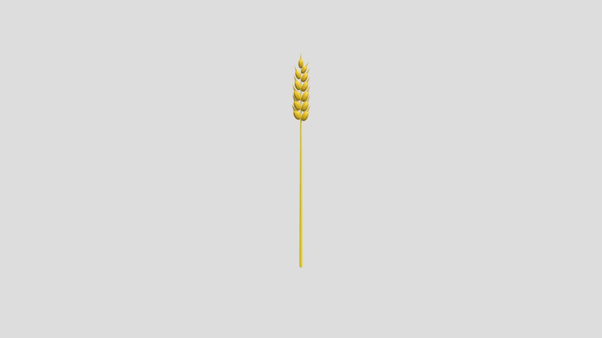 Wheat - Buy Royalty Free 3D model by Ed+ (@EDplus) [ad6bf90 ...