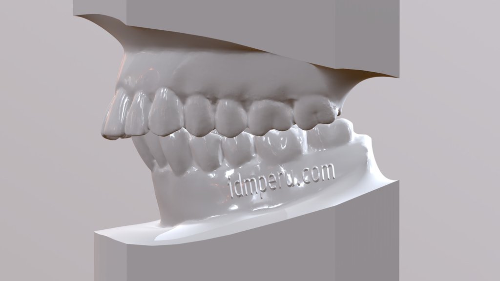 Occlusion - A 3D model collection by Muhammad Nabeel ...